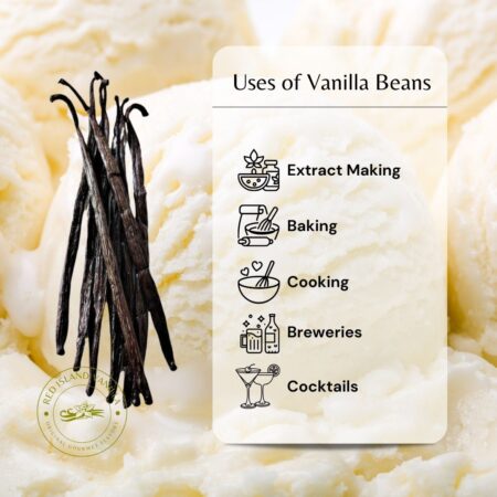 Madagascar Bourbon Grade B – Extract Vanilla Beans - Red Island Vanilla