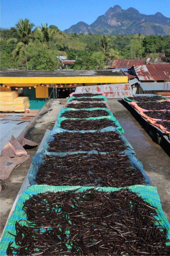 Buy Premium Vanilla Beans From Madagascar | Red Island Vanilla