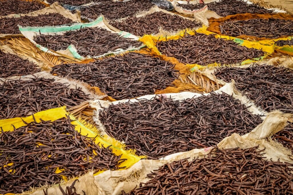 Buy Premium Vanilla Beans From Madagascar | Red Island Vanilla